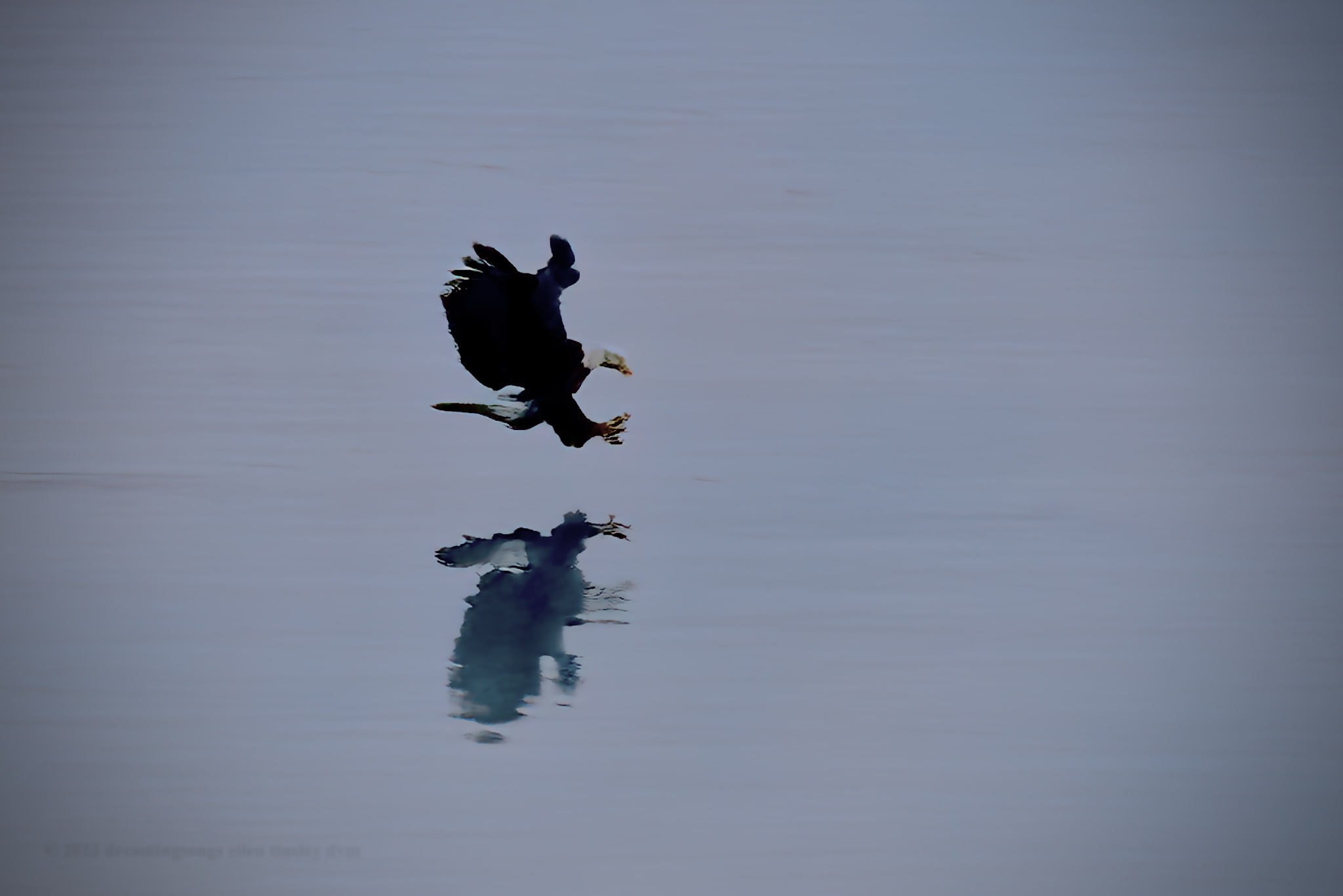 Reflection … | doc ellen's journey