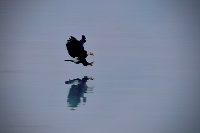 Reflection … | doc ellen's journey
